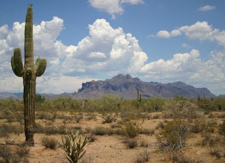 FSS Desert Blend OS; Oil Soluble Desert Blend – Formulator Sample Shop