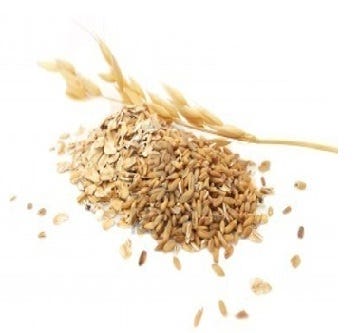 Foaming Oat – Formulator Sample Shop