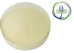 Glucose Oxidase – Formulator Sample Shop