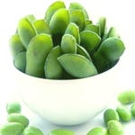 phytoceramides – Formulator Sample Shop