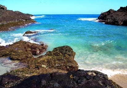 FSS Sea Silt BioFerment G – Formulator Sample Shop