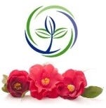 Tsubaki Oil – Formulator Sample Shop