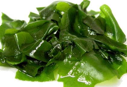 FSS WAKAME BIOFERMENT ADVANCED – Formulator Sample Shop