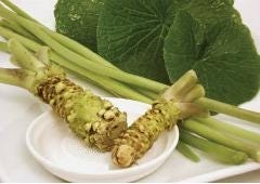 FSS Wasabi Extract PF – Formulator Sample Shop