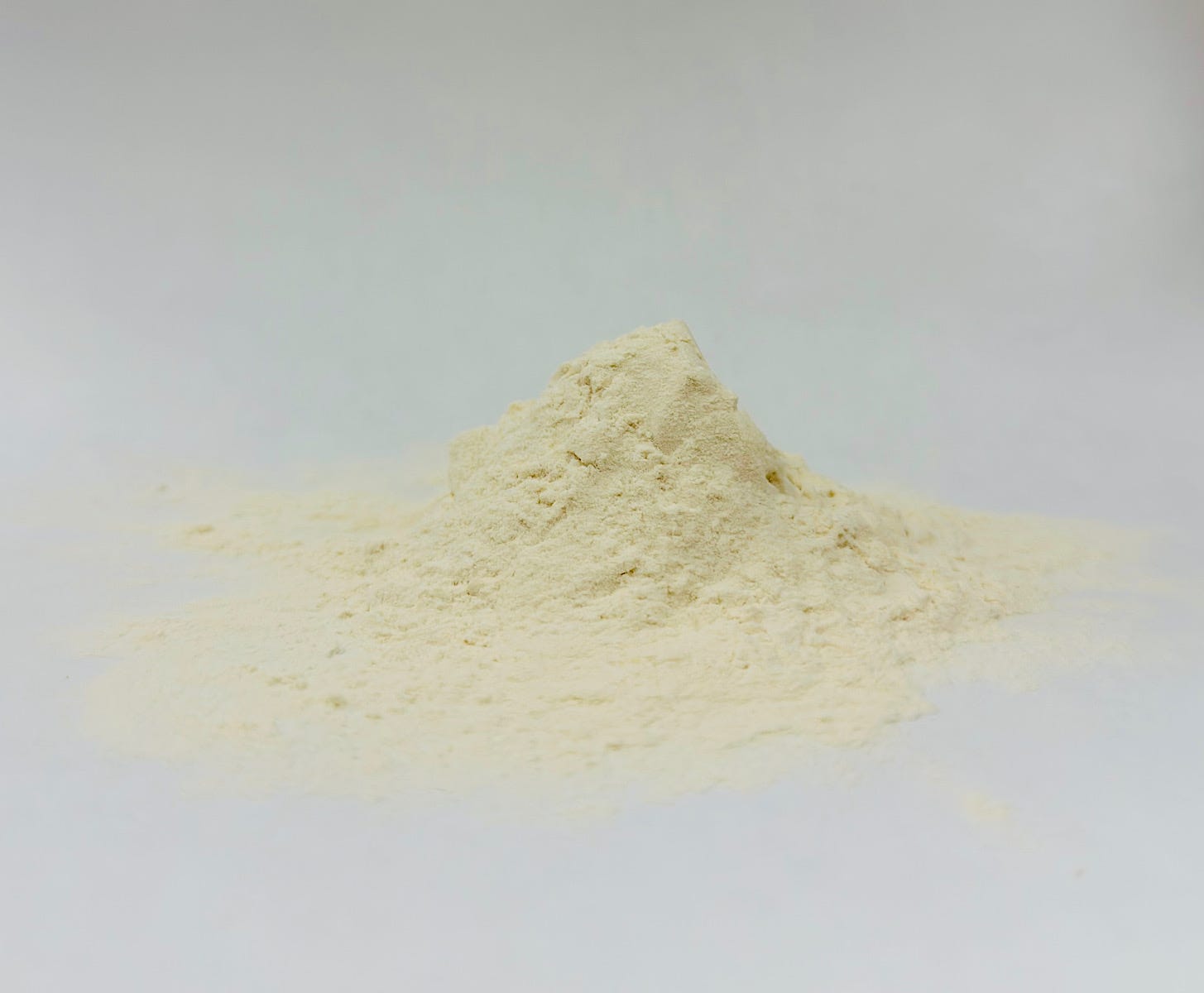 ALOE VERA 200X POWDER – Formulator Sample Shop